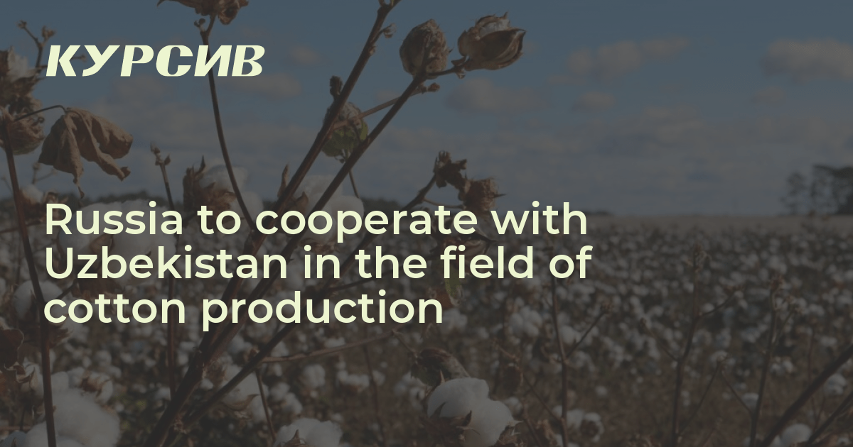 Russia to cooperate with Uzbekistan in the field of cotton production ...