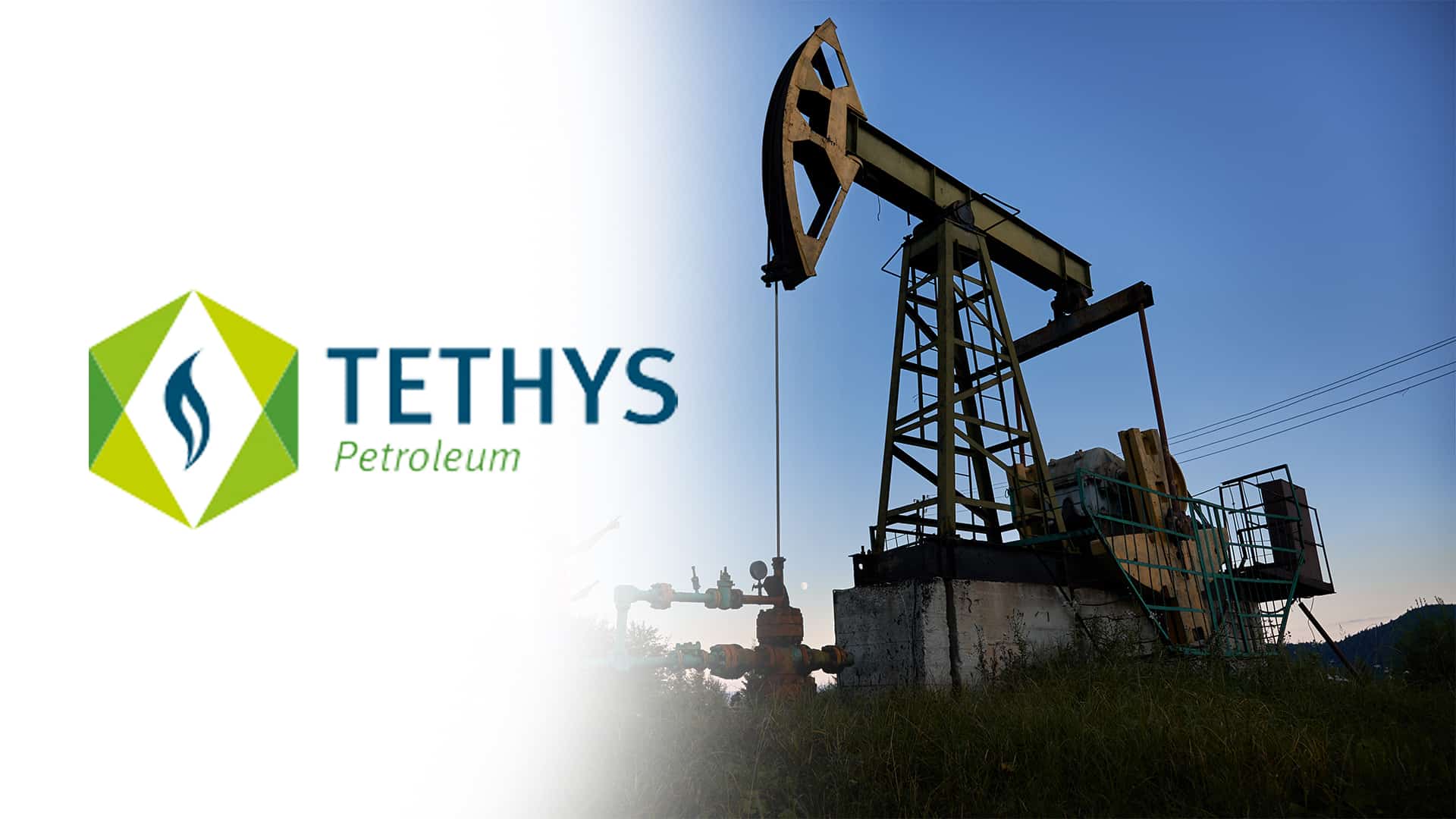 Кто владеет компанией Tethys Petroleum
