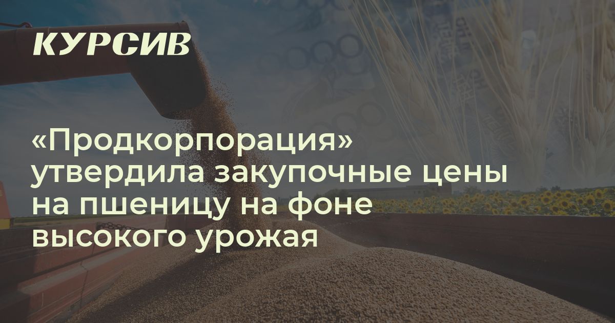 «Продкорпорация утвердила закупочные цены на пшеницу на фоне высокого
