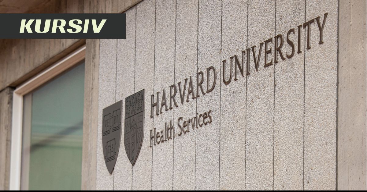 Seven Kazakhstani students at risk of expulsion from Harvard