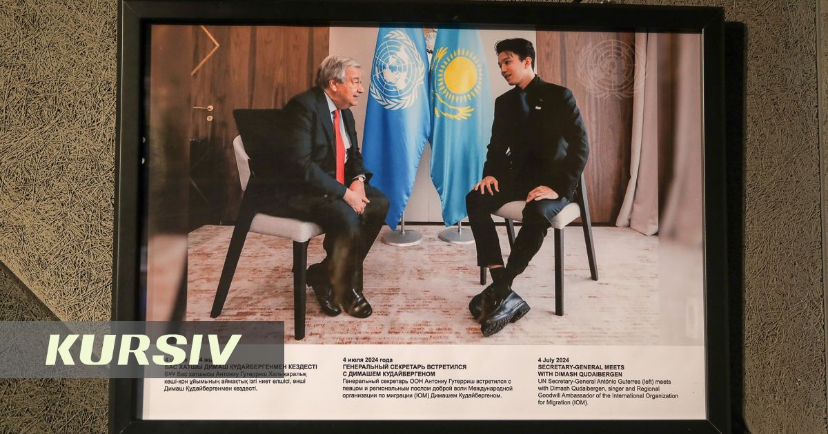 Politics & pop: Rare UN photos of Dimash & leaders unveiled