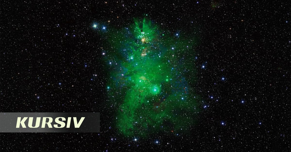 NASA reveals a stunning 'Christmas Tree' star cluster